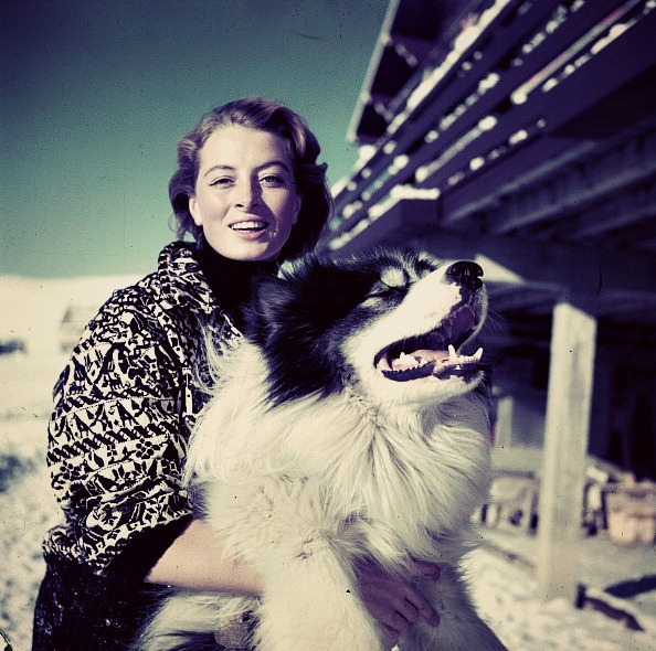 Picture of Capucine