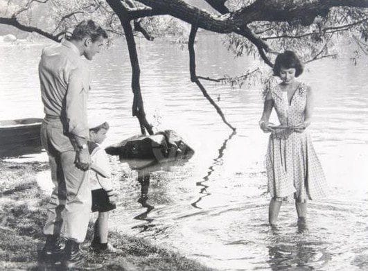 Picture of Tab Hunter