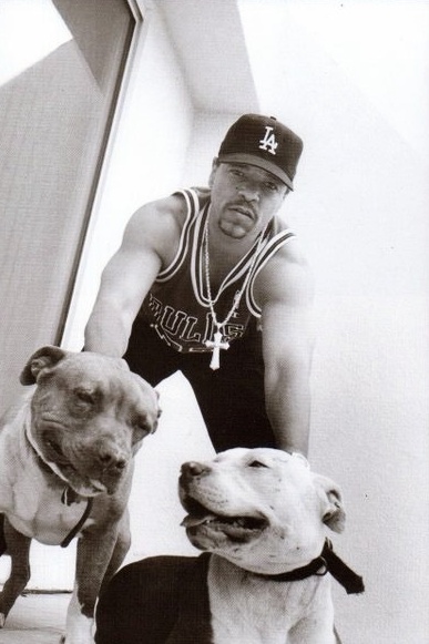 Ice-T image