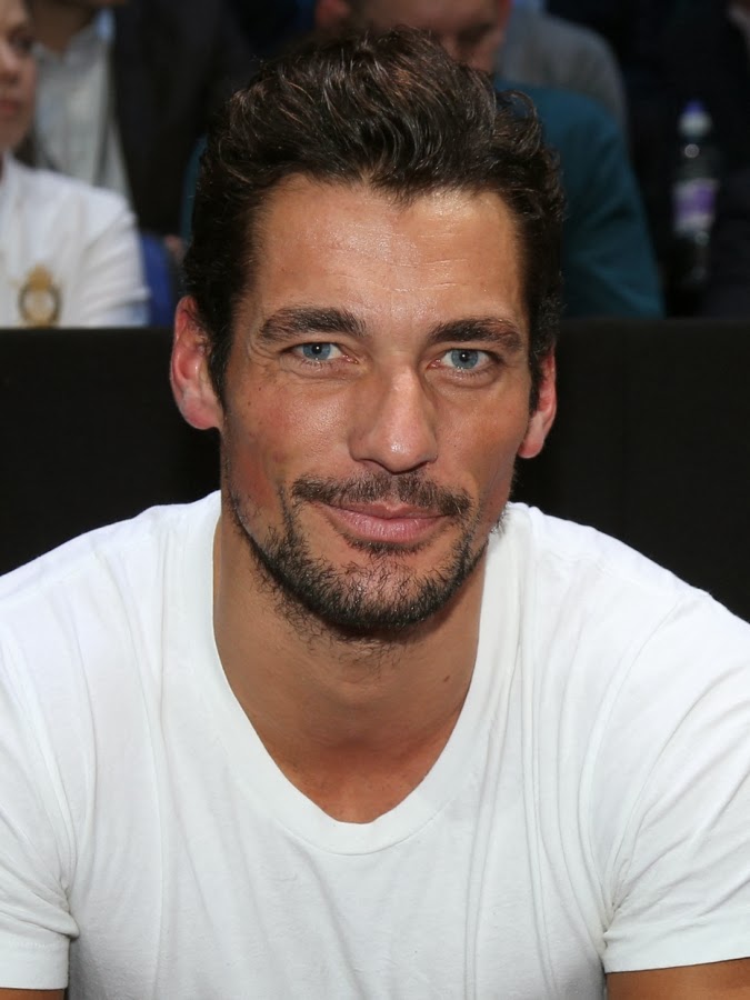 Picture of David Gandy