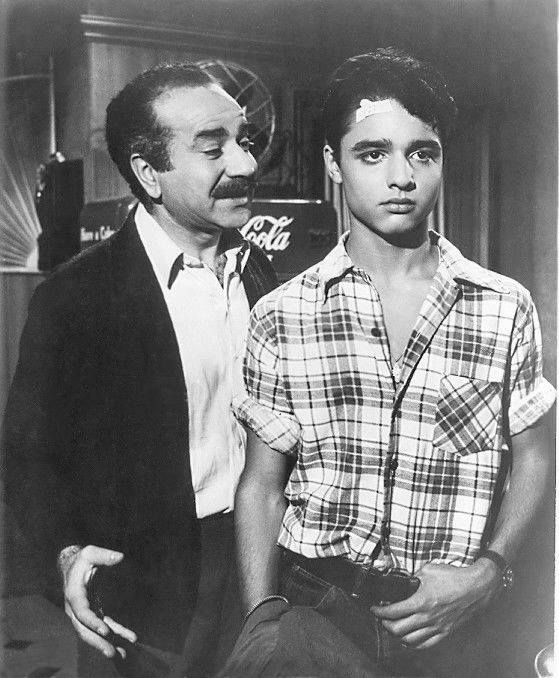 Picture of Sal Mineo
