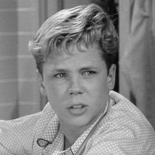Image of Wally Cleaver
