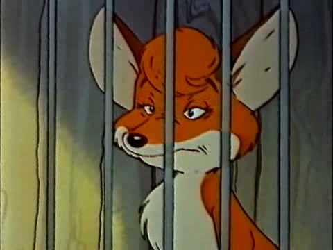 Picture of The Little Fox