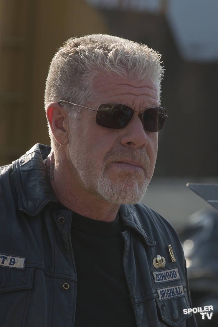 Ron Perlman picture
