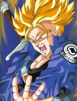 Picture of Trunks