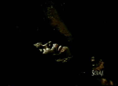 Picture of The Screaming Woman