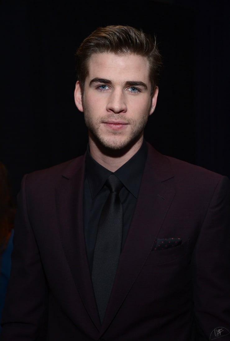 Picture of Liam Hemsworth