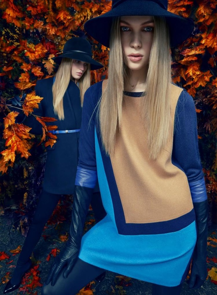 Picture of Amanda Nimmo