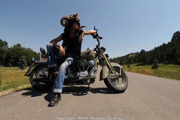 Picture of Steven Tyler