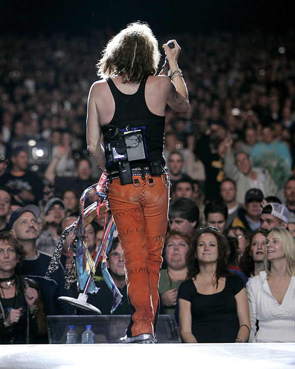 Picture of Steven Tyler