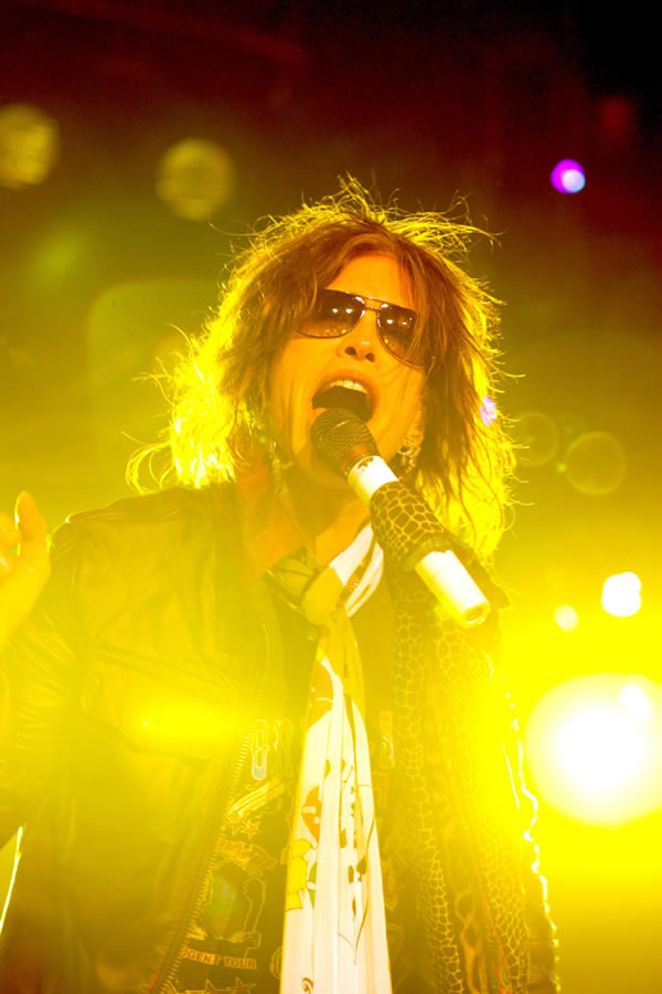 Picture of Steven Tyler