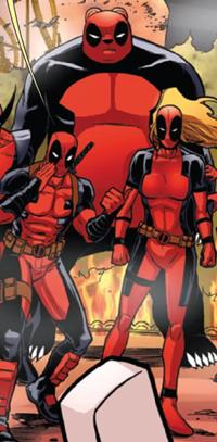 Picture of Pandapool