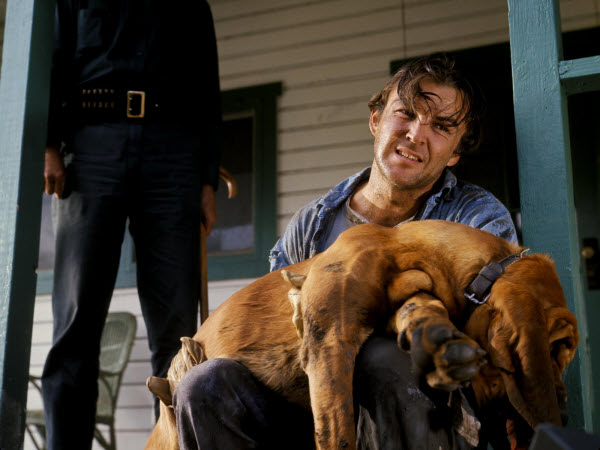 Picture of Cool Hand Luke