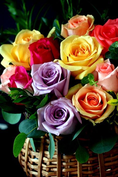 Listal - List the stuff you love! Movies, TV, music, games and books