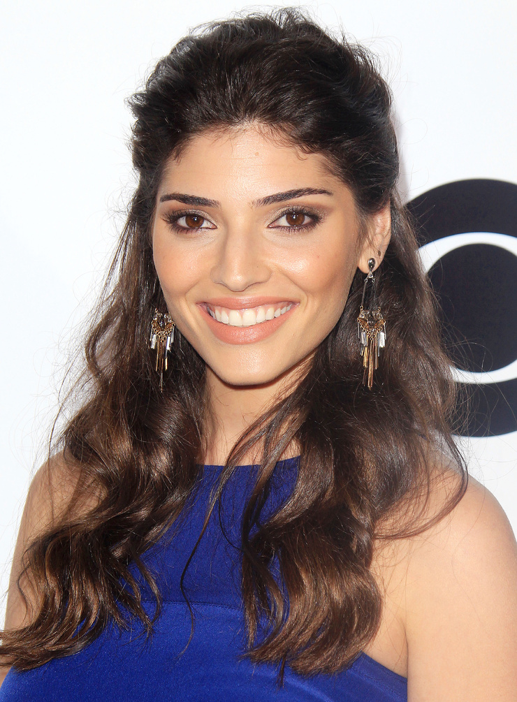 Picture of Amanda Setton