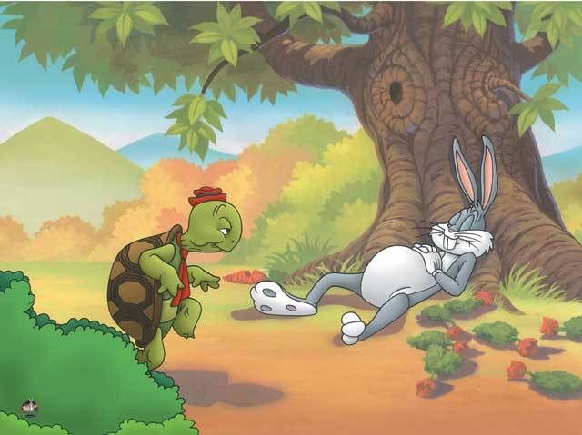 Picture of Cecil Turtle