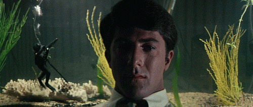 Image of The Graduate