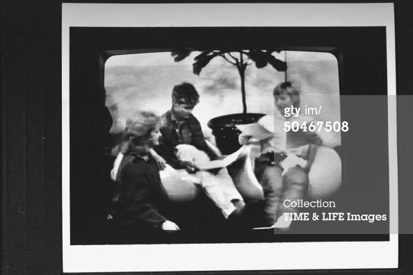 Judy Nelson image