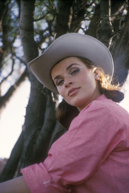 Picture of Senta Berger