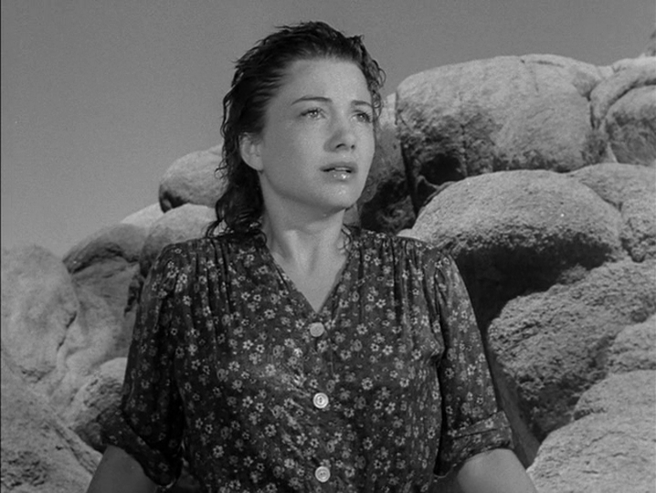 Picture of Yellow Sky