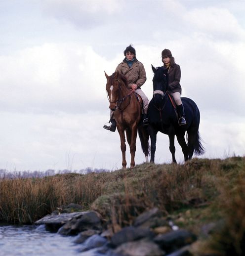 Picture of Follyfoot