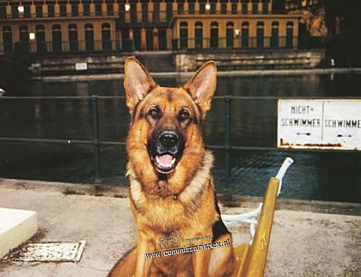Picture of Kommissar Rex
