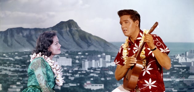 Picture of Blue Hawaii