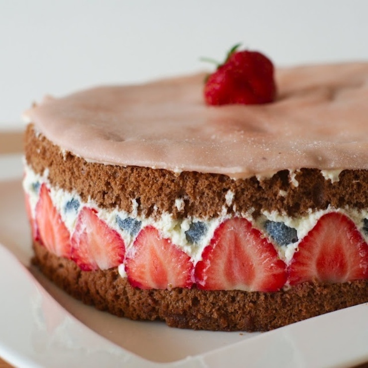 Fraisier Cake picture