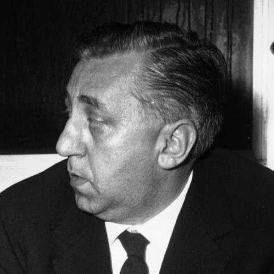 Sandro Giovannini image