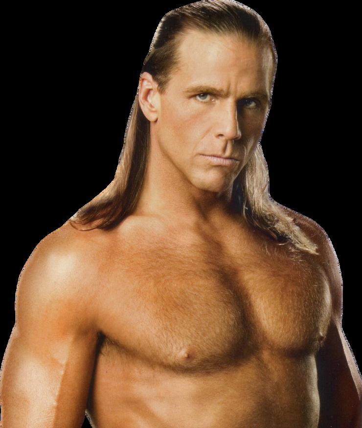 Picture of Shawn Michaels