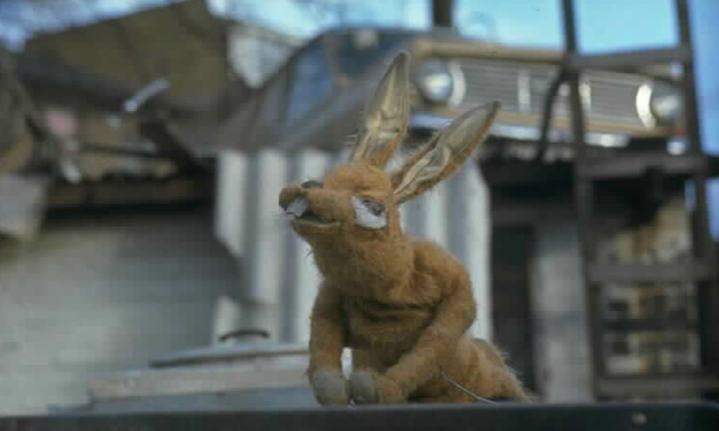 Hartley Hare