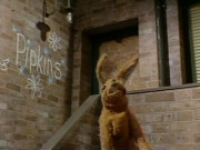 Hartley Hare