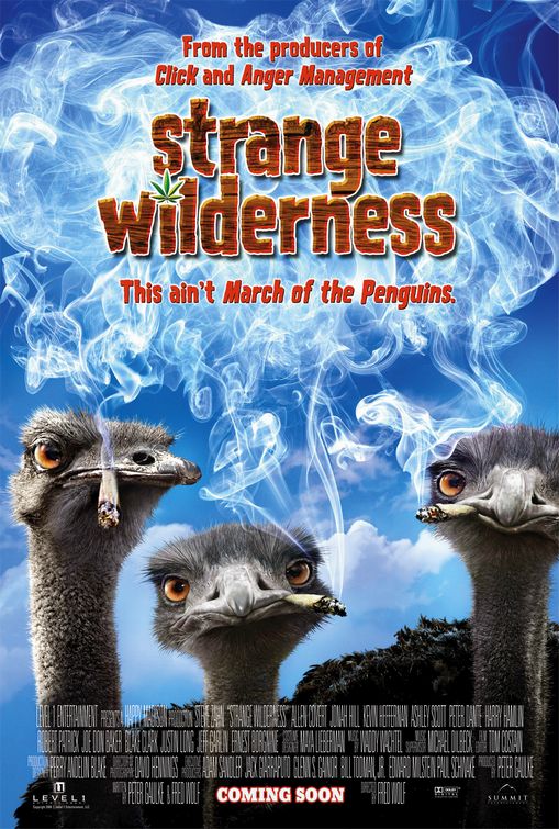 Strange Wilderness image