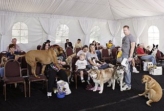 Picture of Top Dog Model
