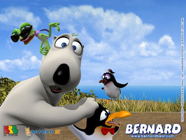 Bernard image
