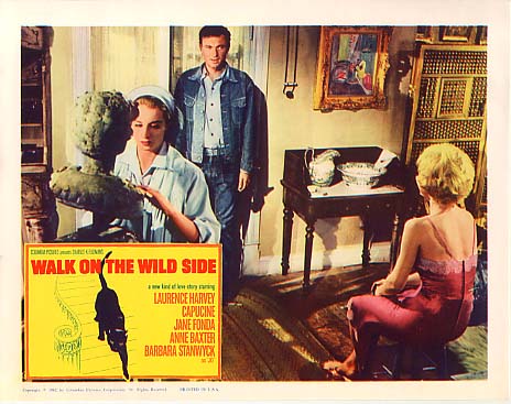 Picture of Walk on the Wild Side
