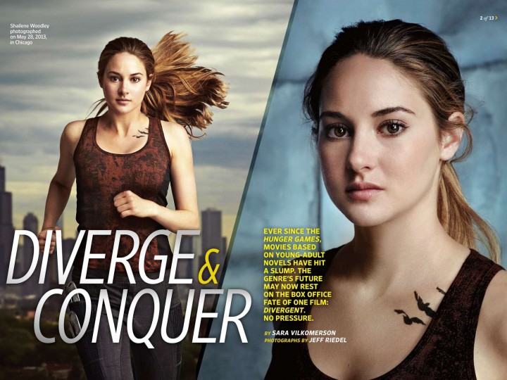 Picture of Divergent