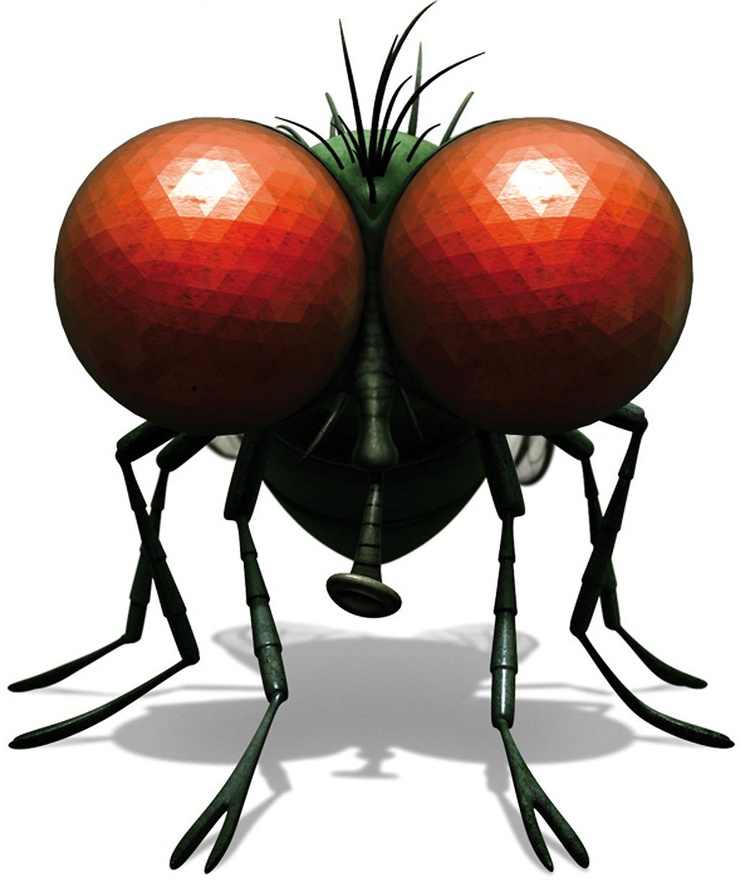 Picture of Minuscule