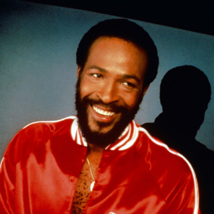 Picture of Marvin Gaye