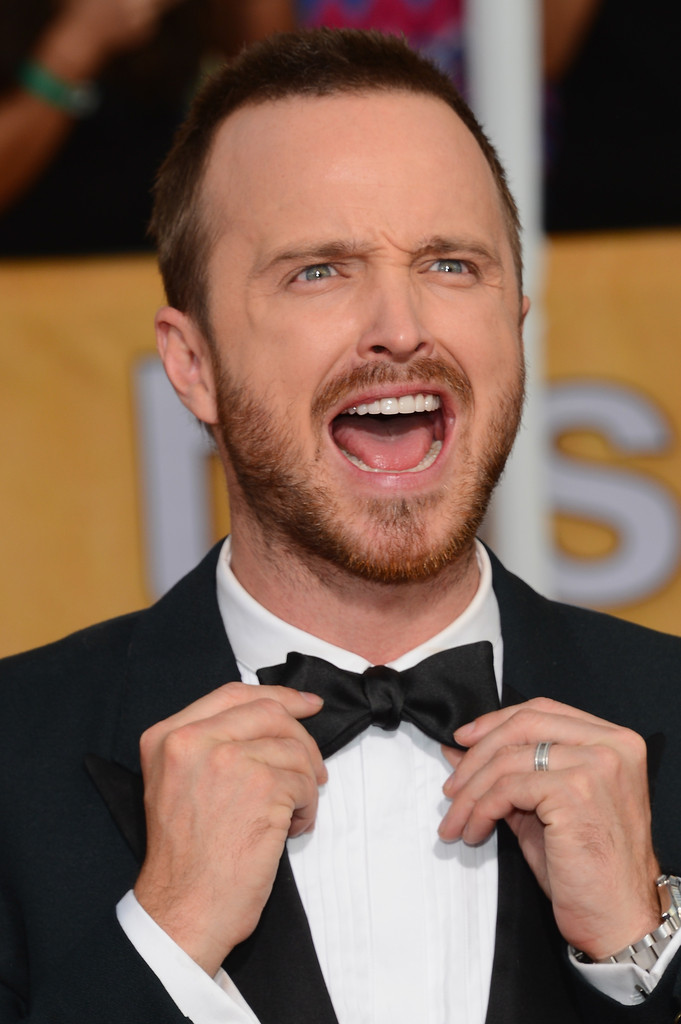 Picture of Aaron Paul