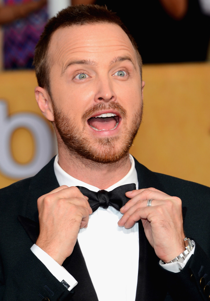 Picture of Aaron Paul