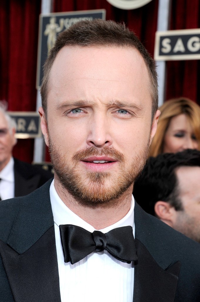 Picture of Aaron Paul