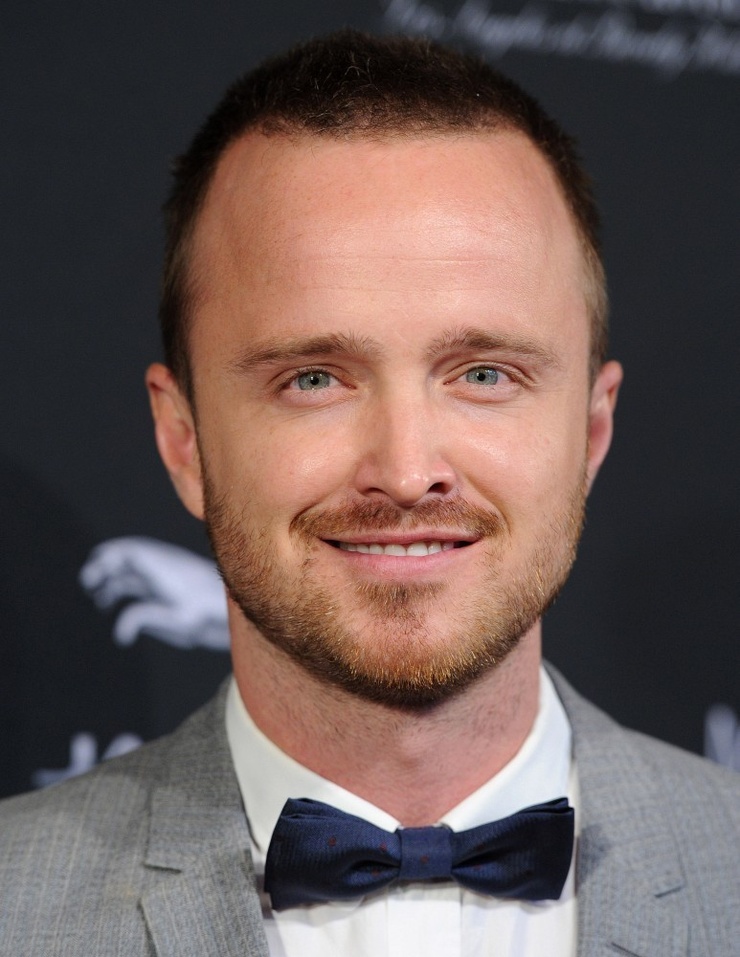 Picture of Aaron Paul