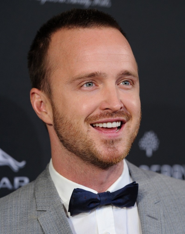 Picture of Aaron Paul