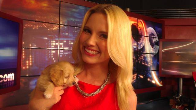 Krystal Klei picture