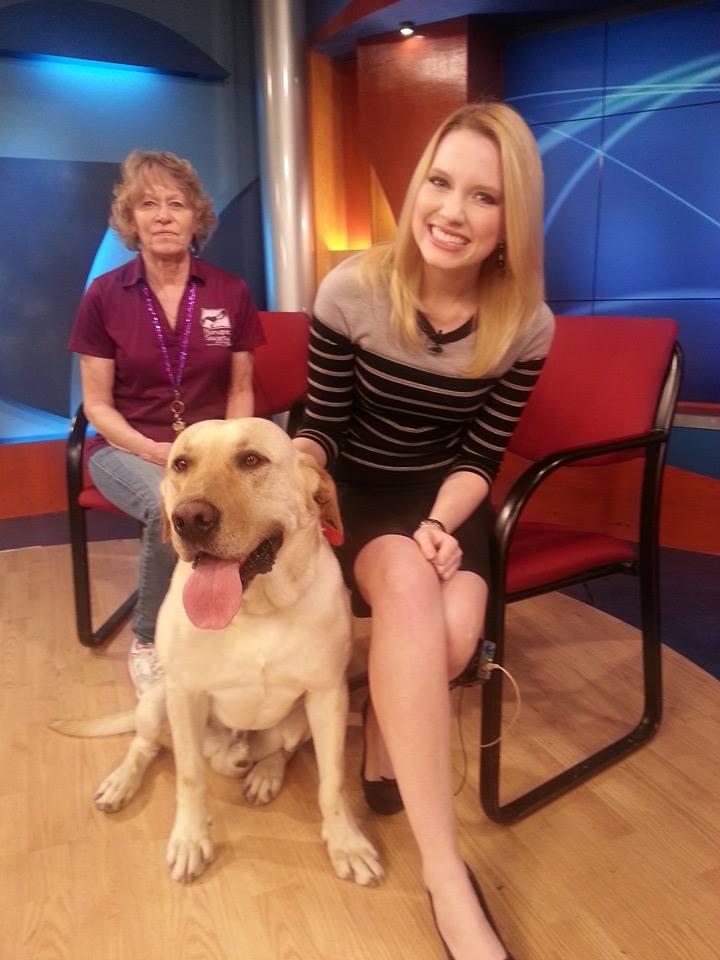 Picture of Krystal Klei