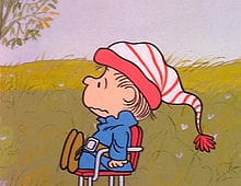 Rerun van Pelt image