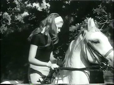Picture of The White Horses