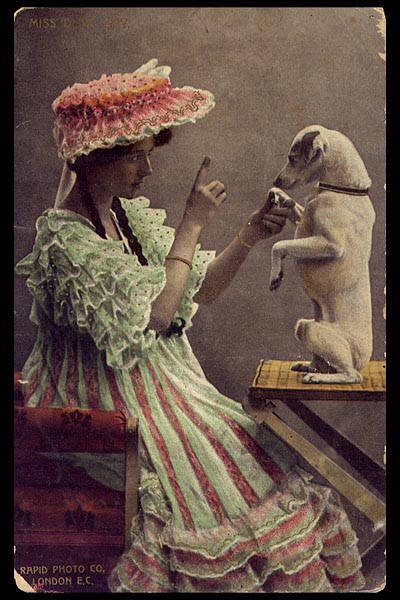 Picture of Olive May