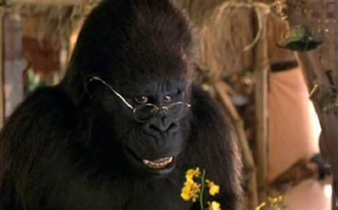 Picture of George of the Jungle